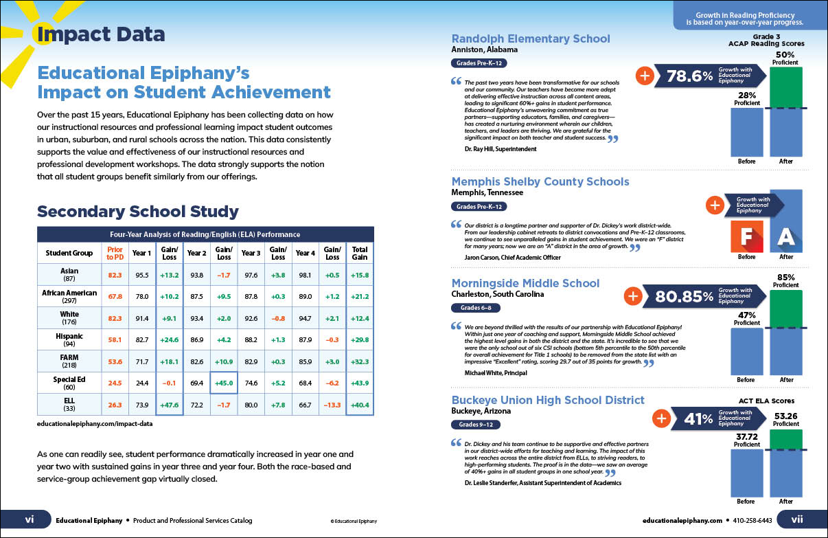 Educational Epiphany — Abbe Gale Eckstein